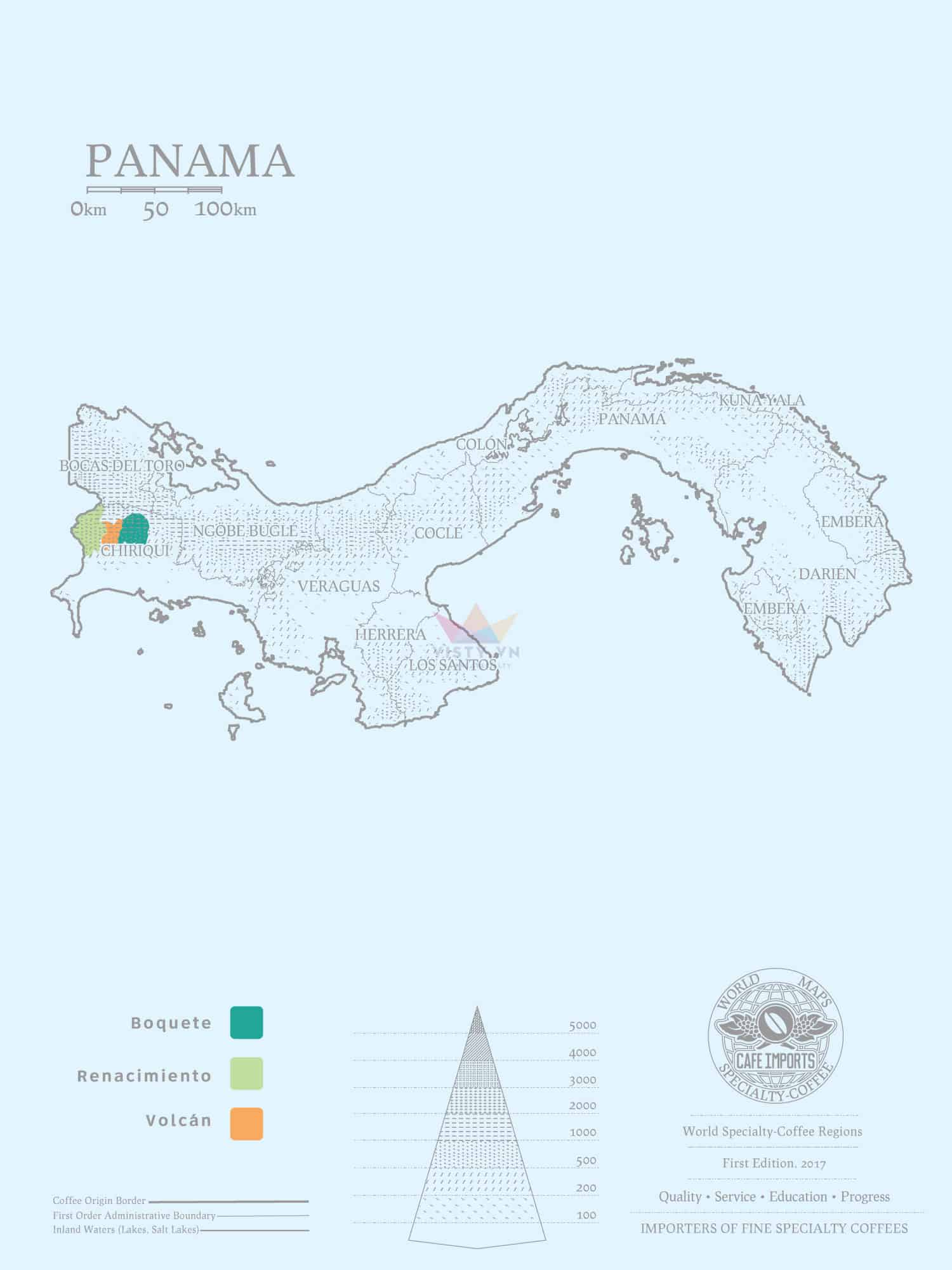 CÀ PHÊ GEISHA PANAMA - LOẠI CÀ PHÊ ĐẮT NHẤT THẾ GIỚI - Visty