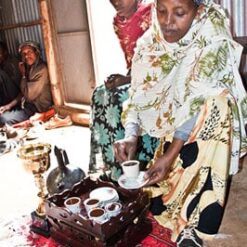 Cà phê Ethiopia Jimma Gera COE 2021 sơ chế Ướt - Visty