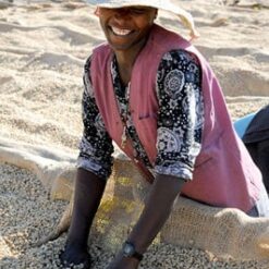 Cà phê Ethiopia Jimma Gera COE 2021 sơ chế Ướt - Visty