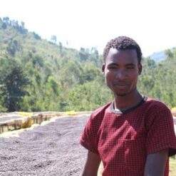 Cà phê Ethiopia Jimma Gera COE 2021 sơ chế Ướt - Visty