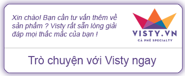 Siêu Sale 10.10 - Visty