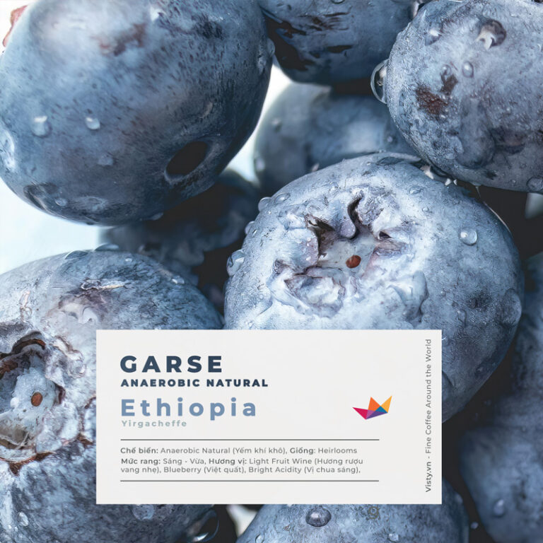 Cà phê Ethiopia Garse - Ly "đo vảng" thơm mùi việt quất và vani - Visty